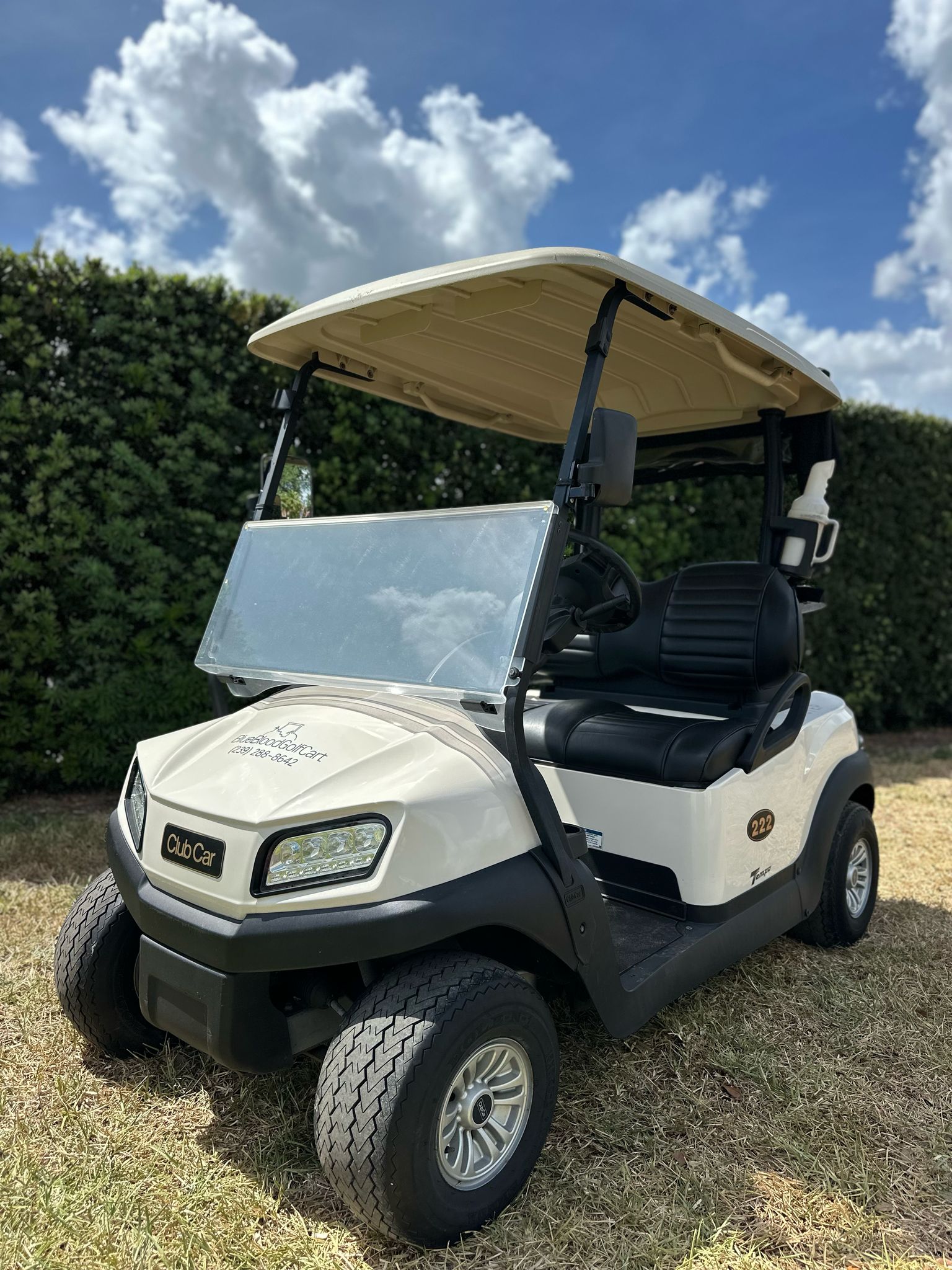 Choose a cart - Blue Blood Golf Cart